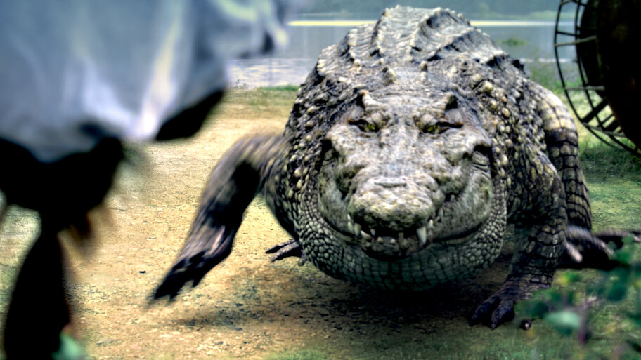 Watch Croczilla | Netflix